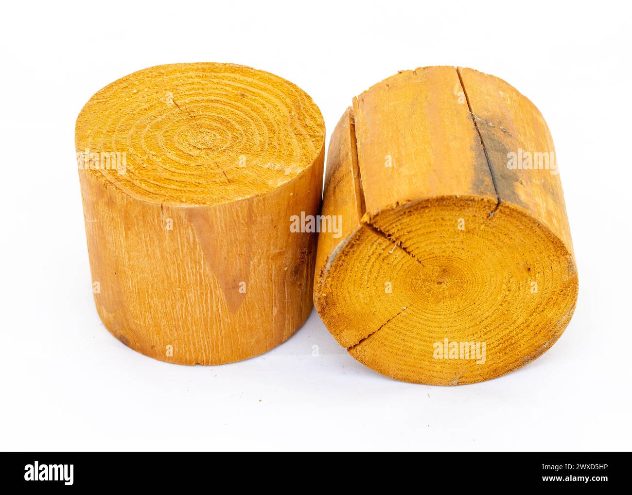Wooden tree craft hi-res stock photography and images - Alamy