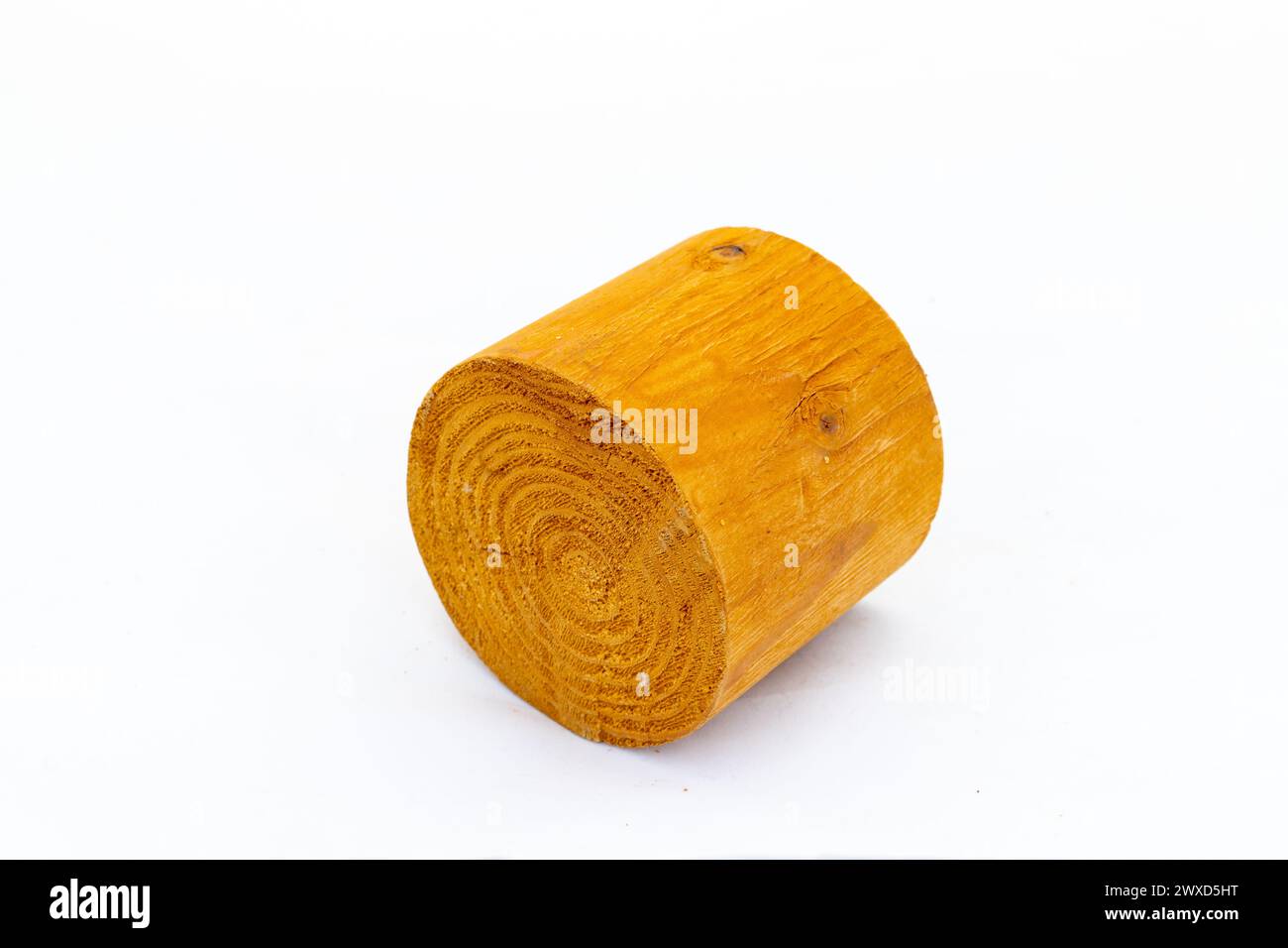 Rings on tree trunk Cut Out Stock Images & Pictures - Alamy