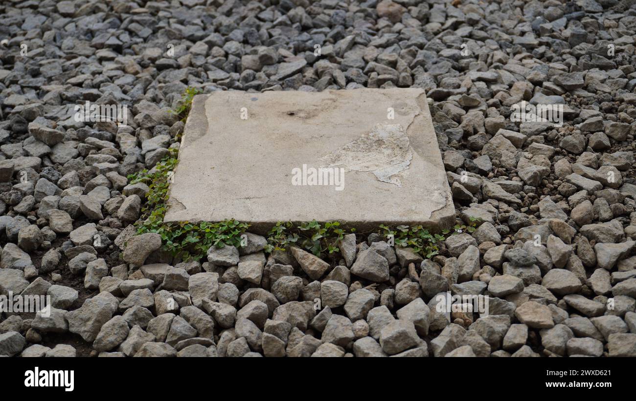 The background of the path made of cement surrounded by small rocks ...