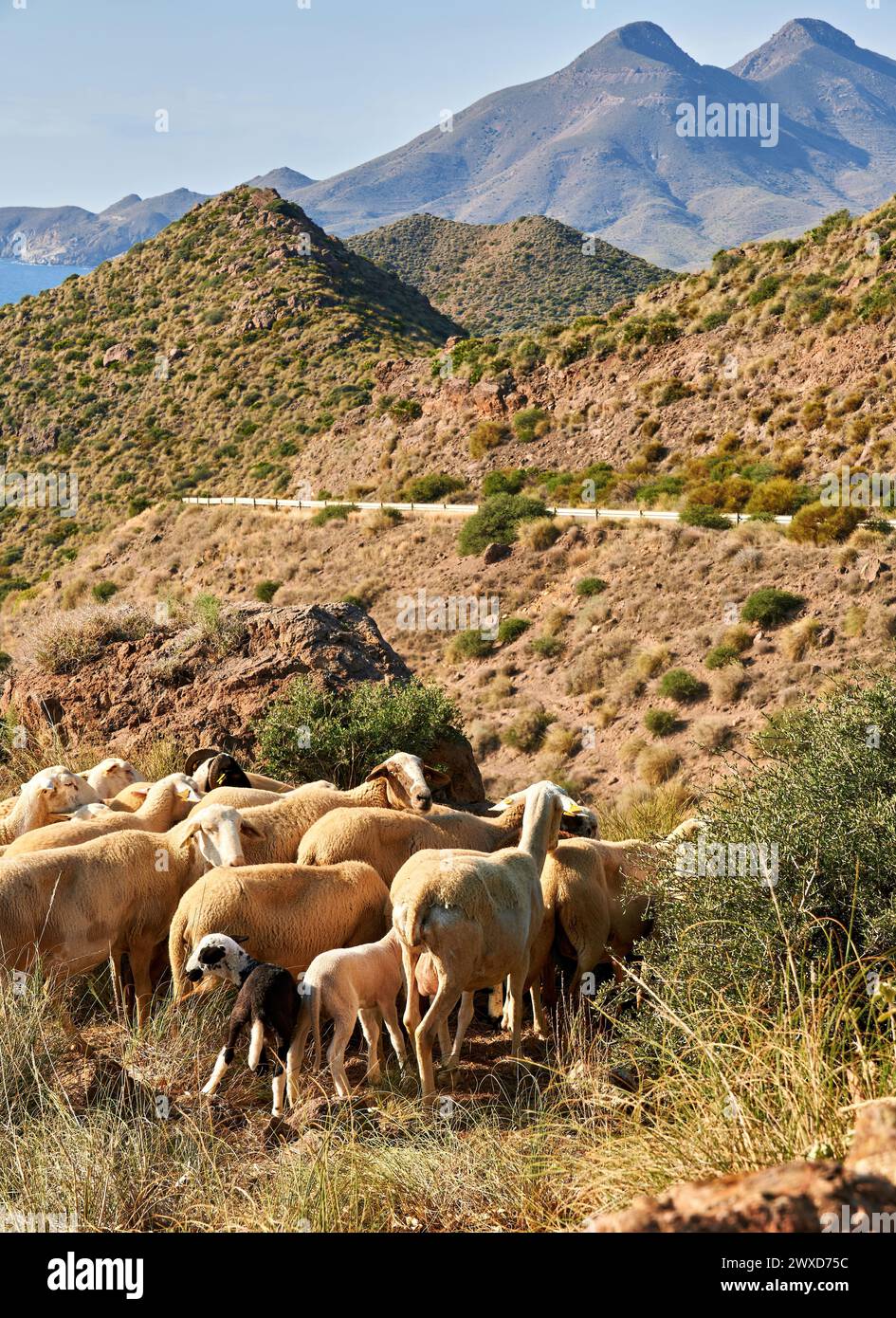 Sierra cabo de gata hi-res stock photography and images - Alamy