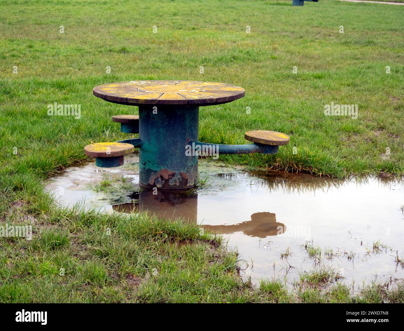 Cleethorpes Country Park. Needing attention, once open water now choked ...
