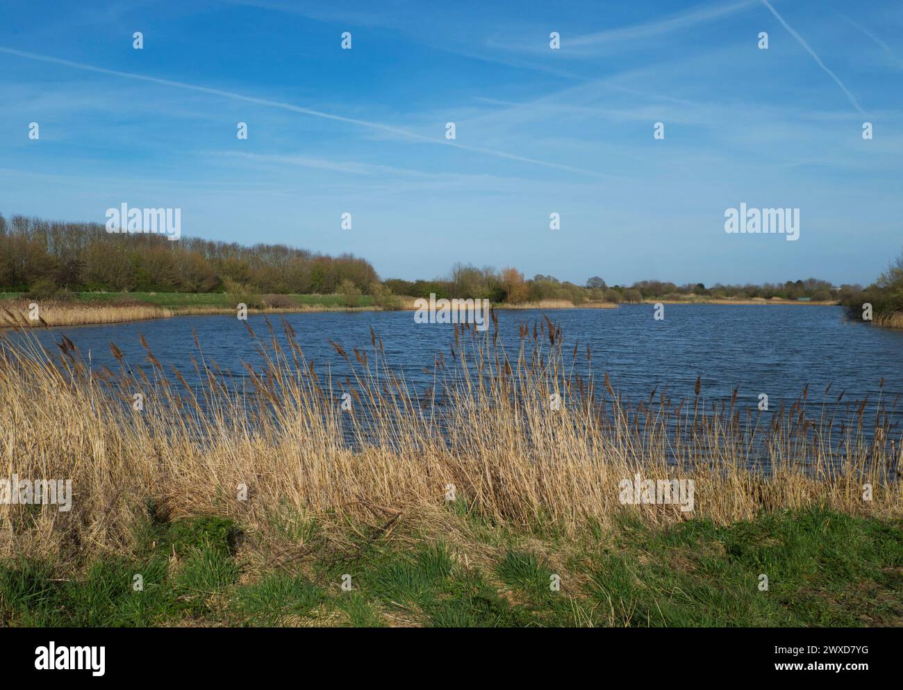 Cleethorpes Country Park. Needing attention, once open water now choked ...