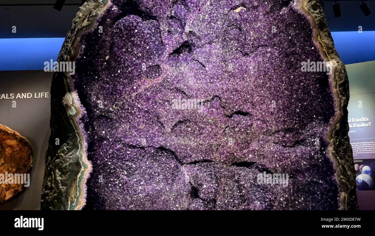 New York, USA; January 24, 2024: Beautiful and wonderful mineral ...