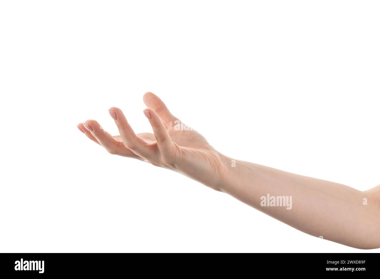 Young woman hand holding something from below isolated on white ...