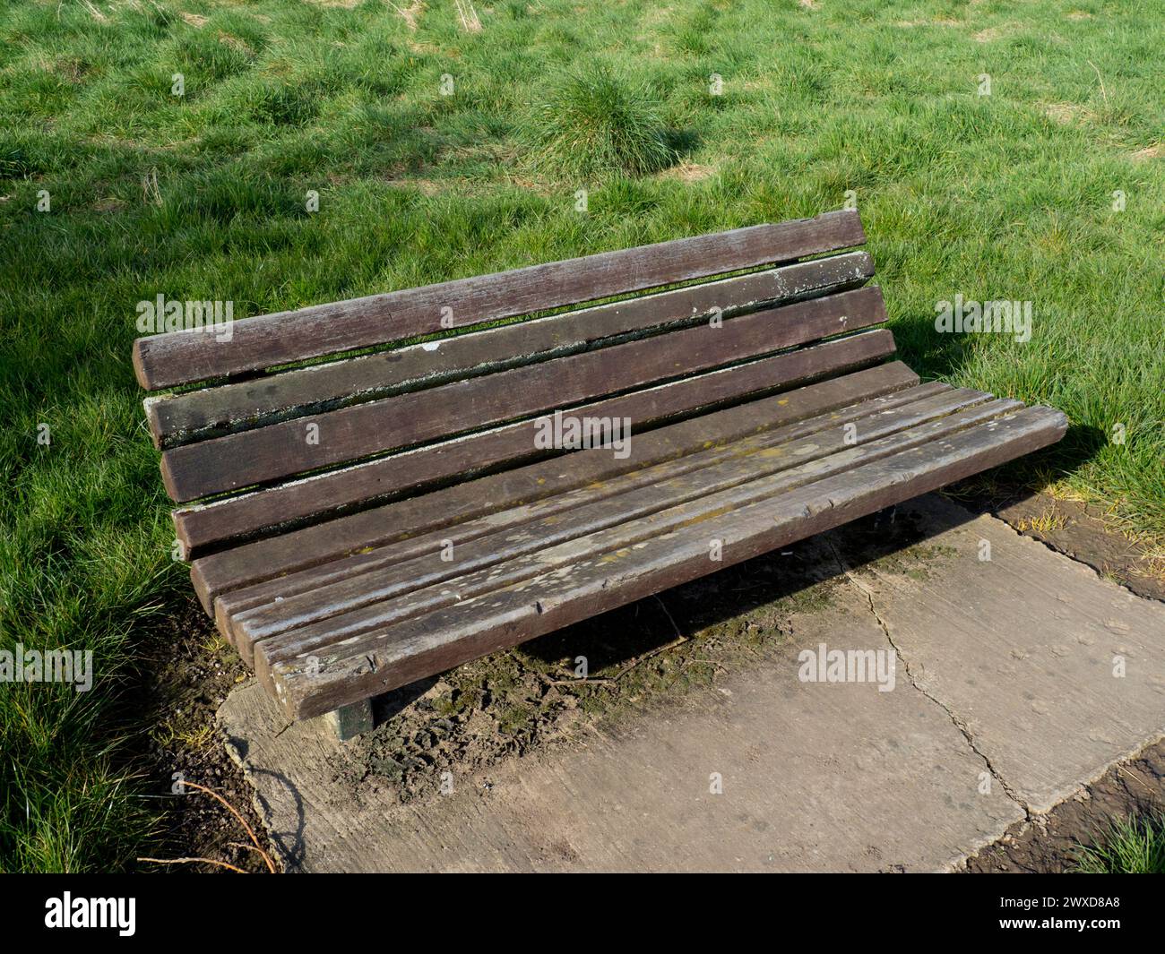 Cleethorpes Country Park. Needing attention, once open water now choked ...