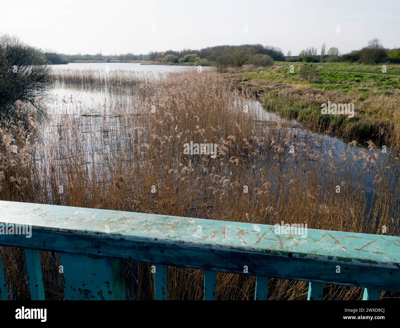 Cleethorpes Country Park. Needing attention, once open water now choked ...