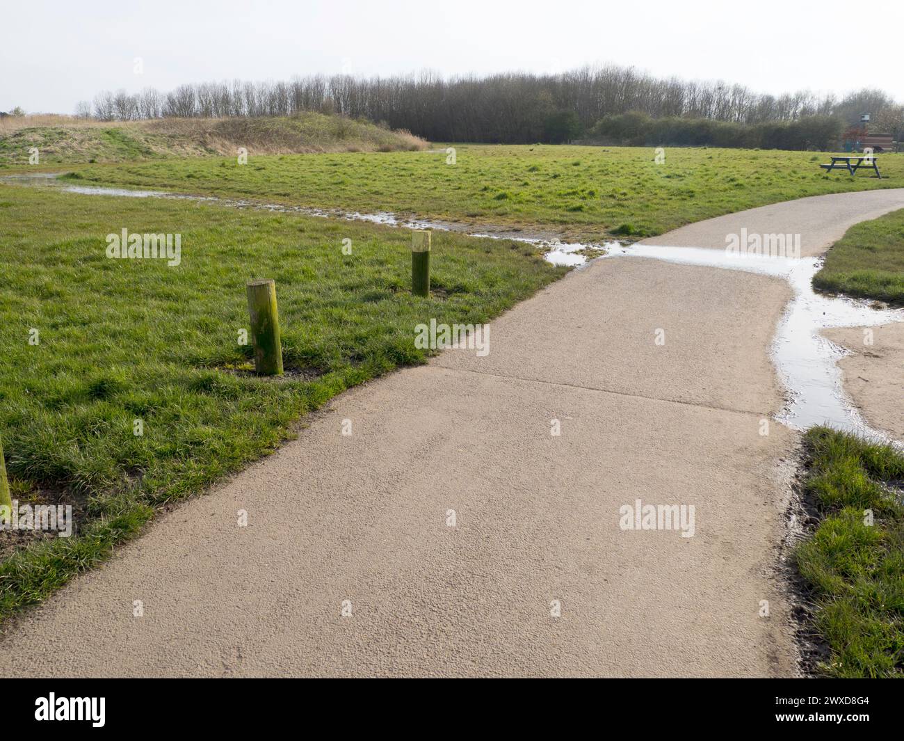 Cleethorpes Country Park. Needing attention, once open water now choked ...