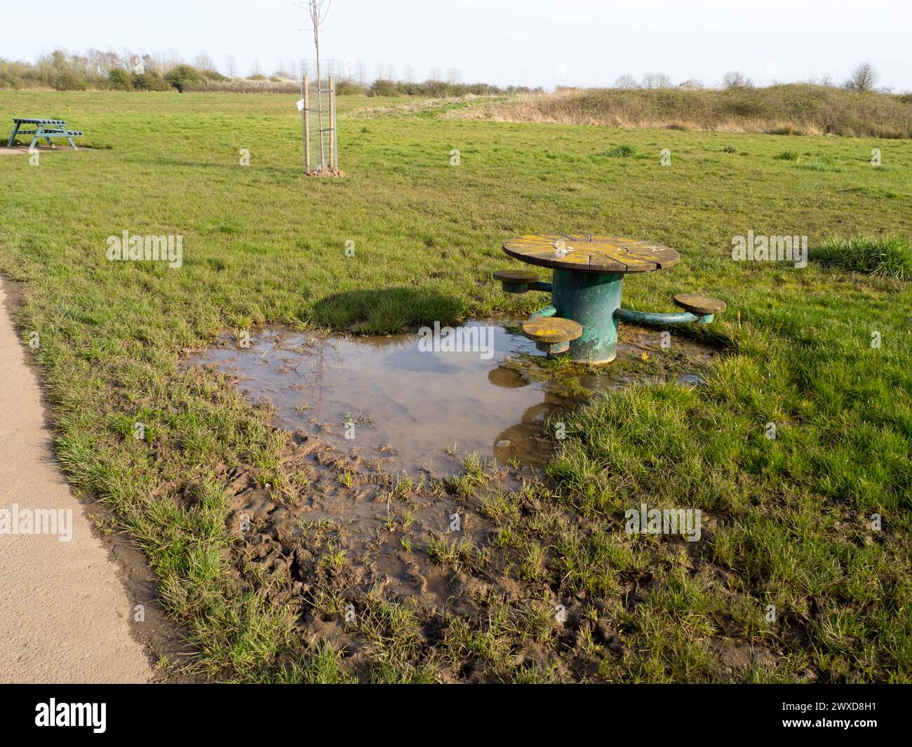 Cleethorpes Country Park. Needing attention, once open water now choked ...