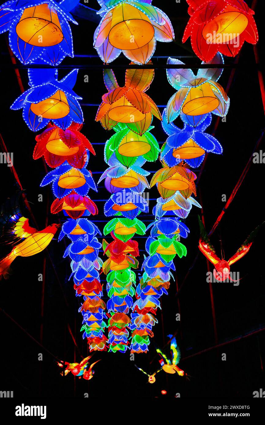 Magical world of lights Stock Photo - Alamy