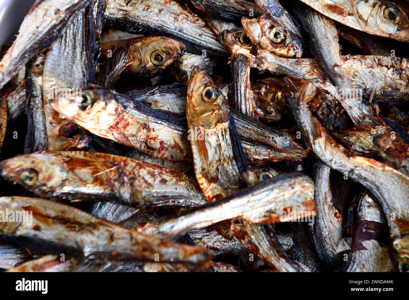 European sprat (Sprattus sprattus) Fish Food Stock Photo - Alamy