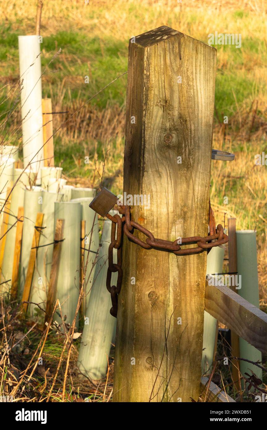 Timber post splitting hi-res stock photography and images - Alamy