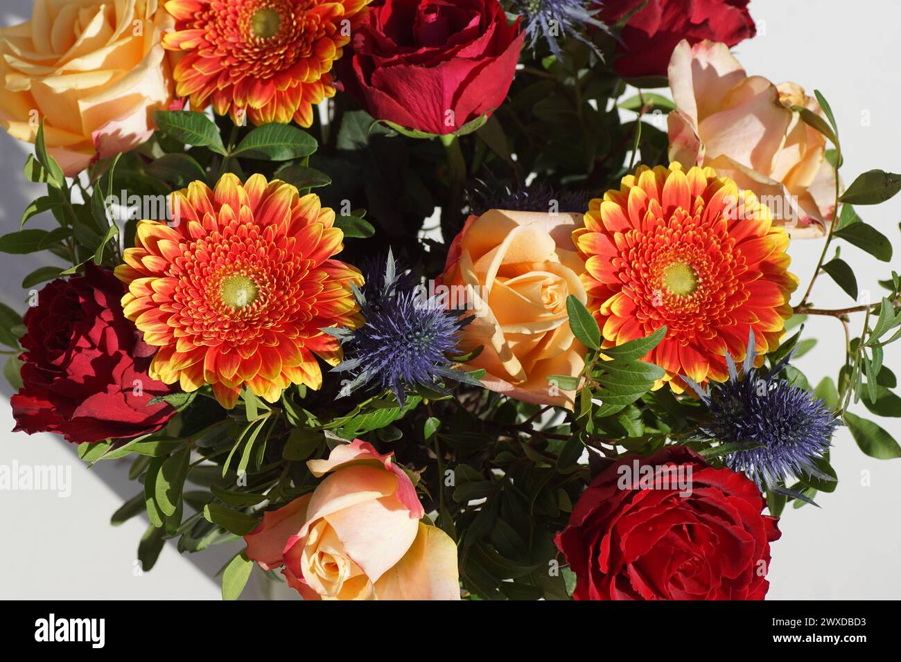 Closeup bouquet of flowers with a white background. Roses, gerberas ...