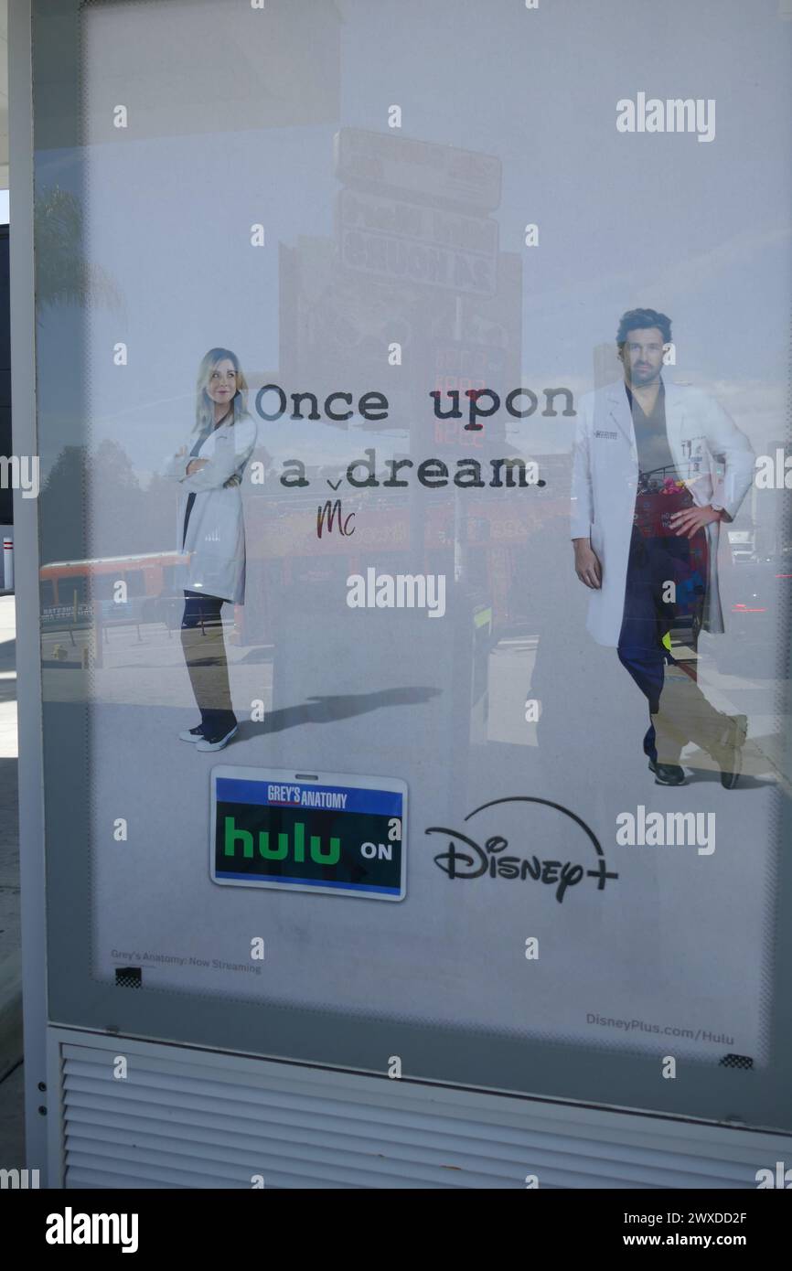 Los Angeles, California, USA 29th March 2024 Patrick Dempsey GreyÕs ...