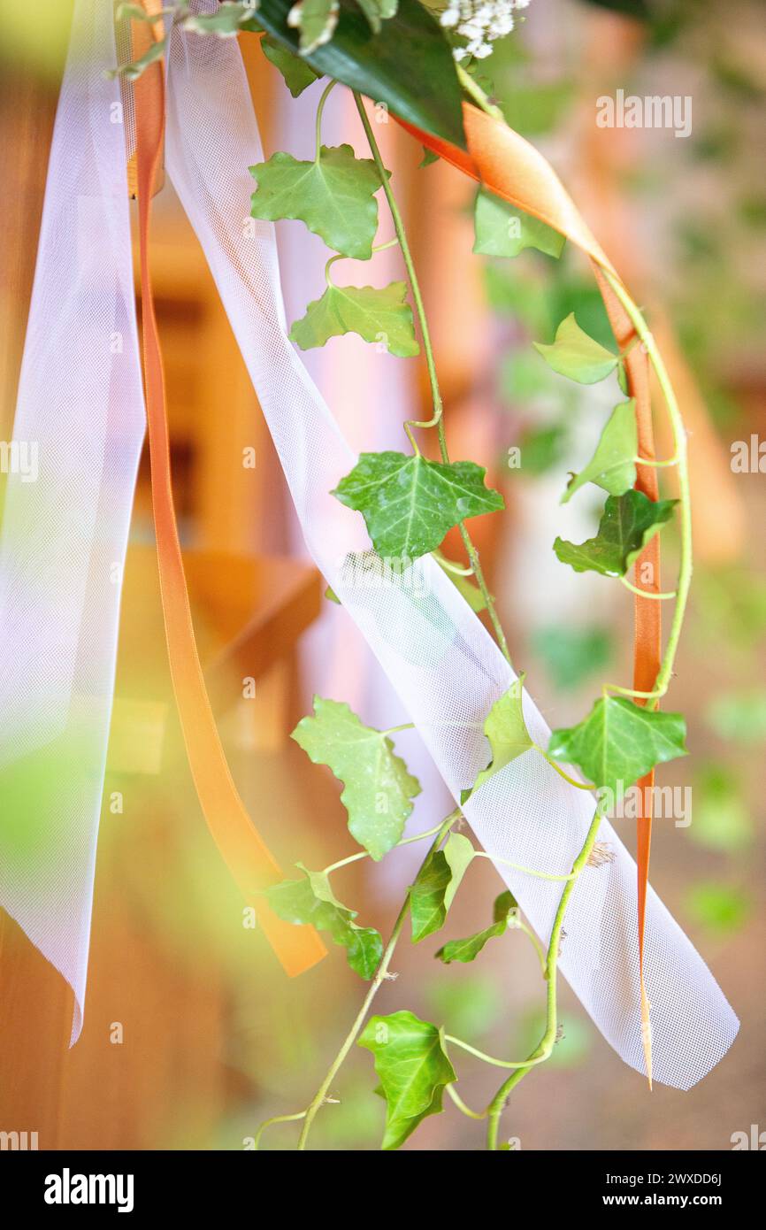 Enchanting theme hi-res stock photography and images - Alamy