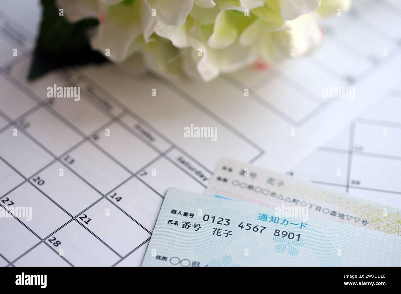 Japanese my number card specimen and notification card on calendar ...