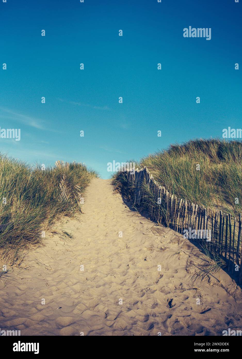 Path trough sand dunes on Benar Beach Stock Photo - Alamy