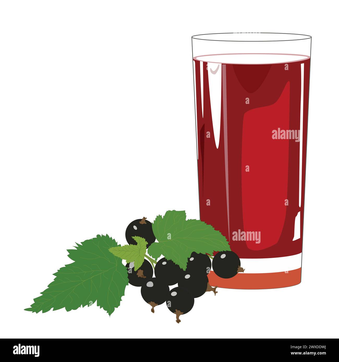 Blackcurrant juice Stock Vector Images - Alamy