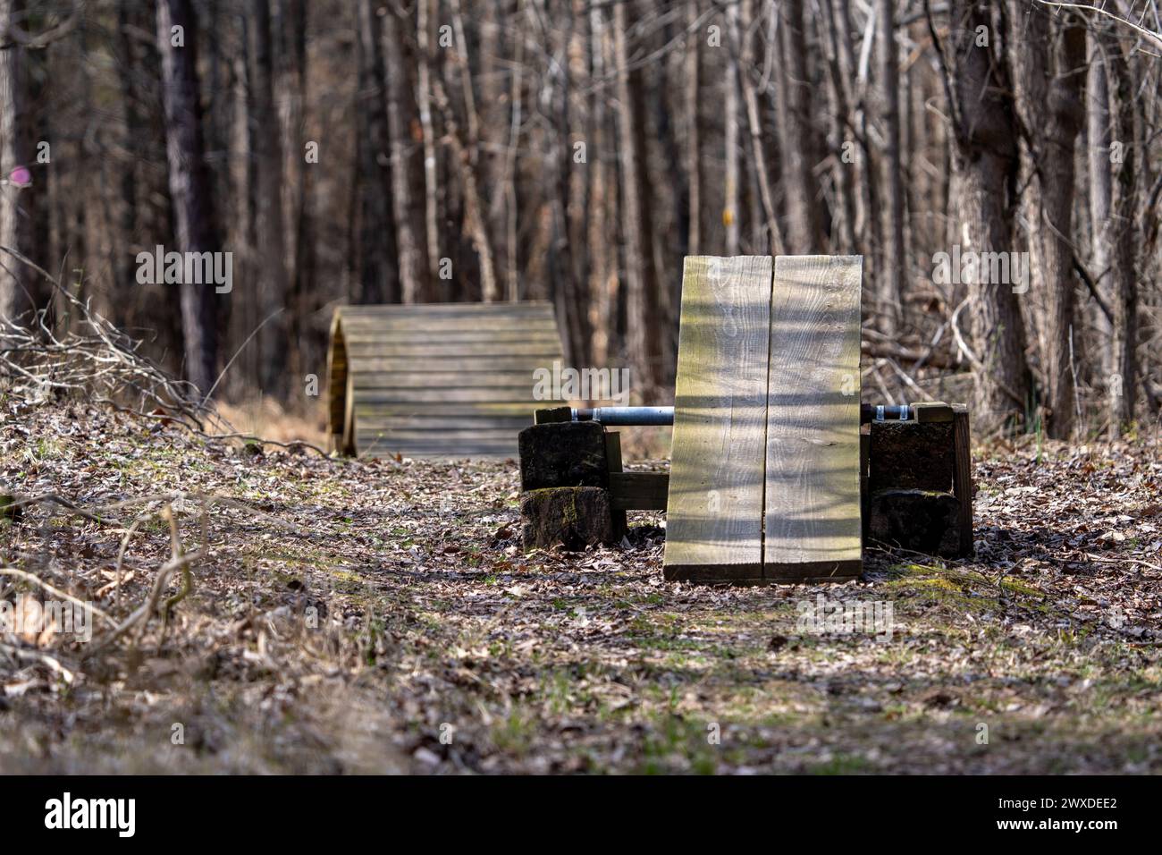 A Mountain bike trail through the woods with wooden ramps and obstacles ...