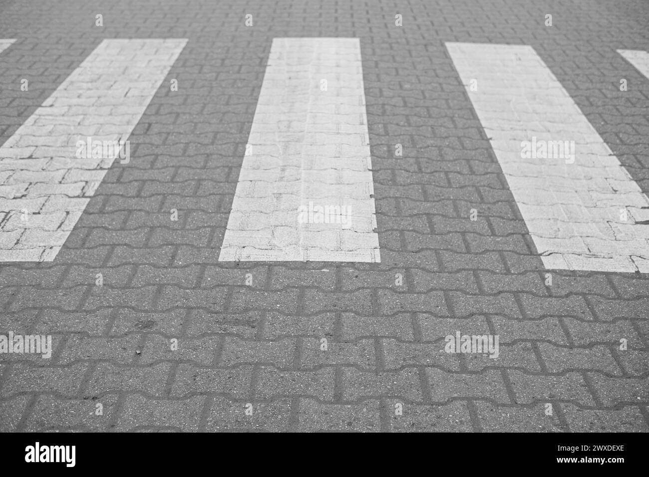 Crosswalk vector hi-res stock photography and images - Alamy