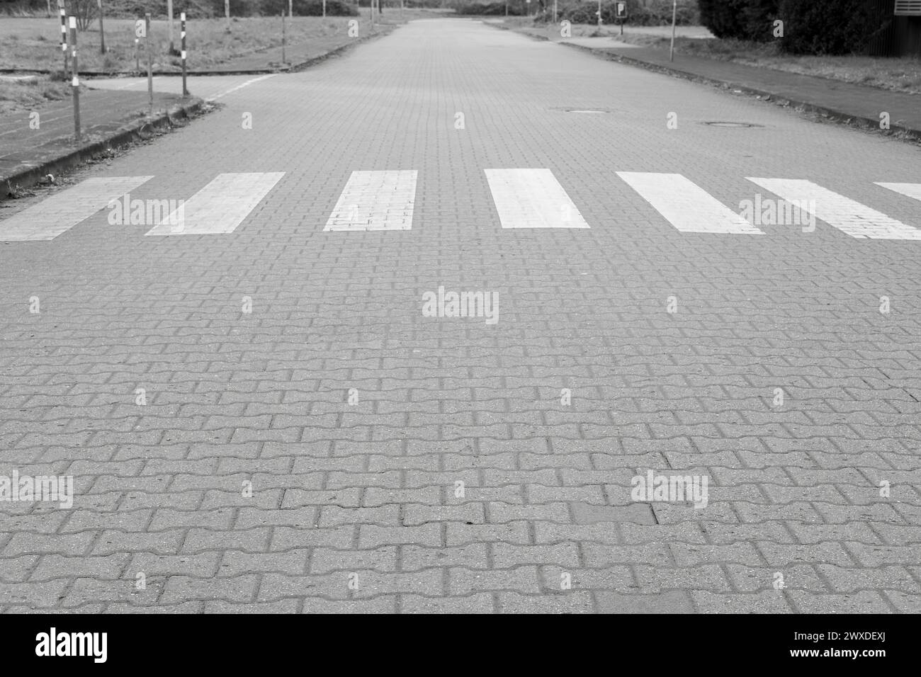 Crosswalk vector hi-res stock photography and images - Alamy