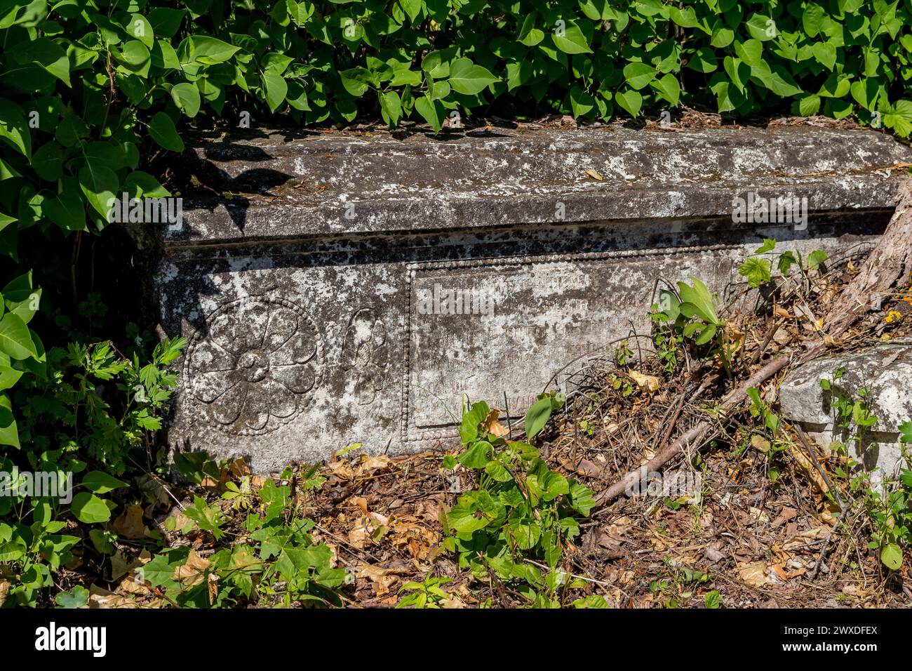 Ancient gravestone with a solar symbol at the Old Believer cemetery in ...