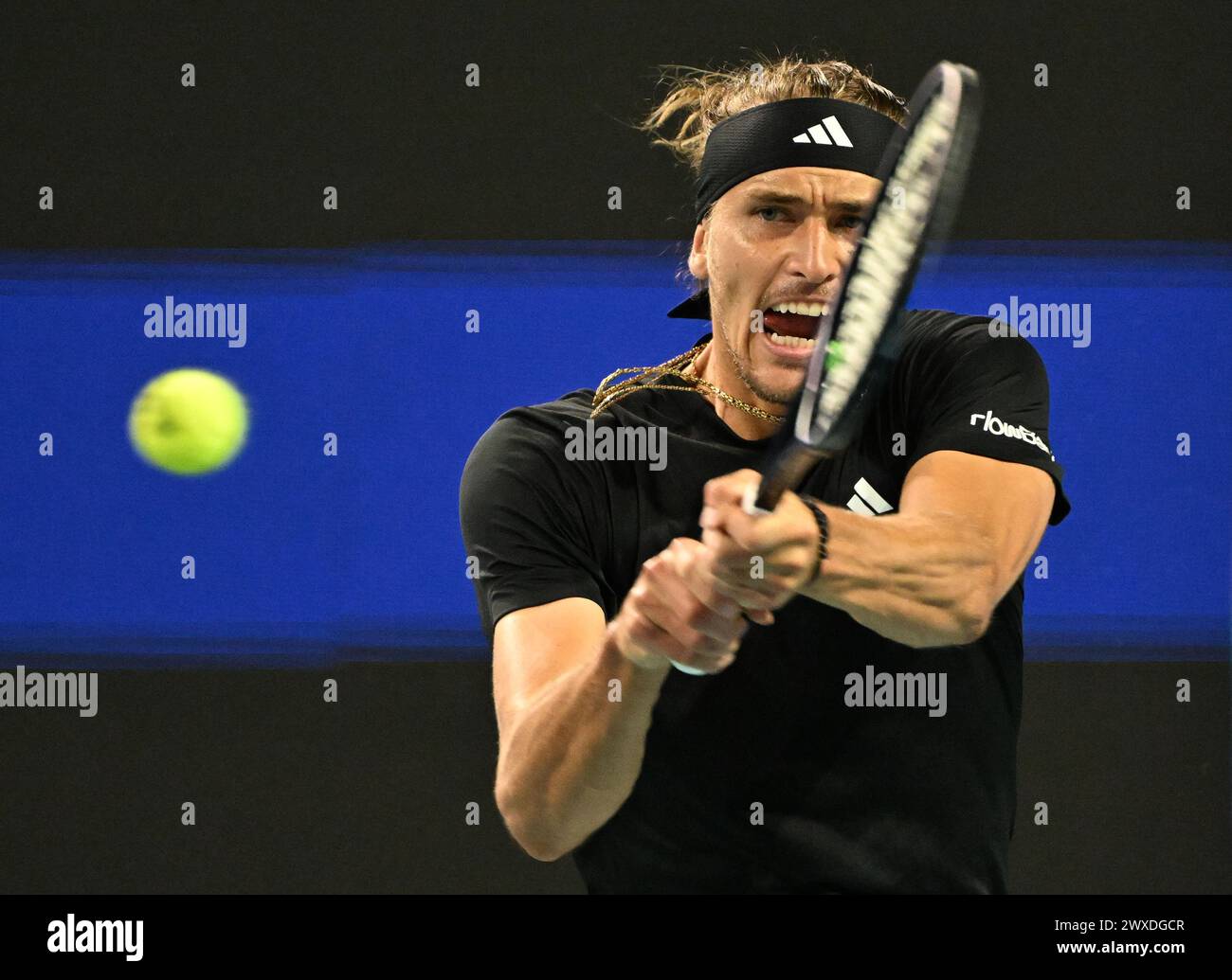 Alexander zverev grigor dimitrov hi-res stock photography and images ...