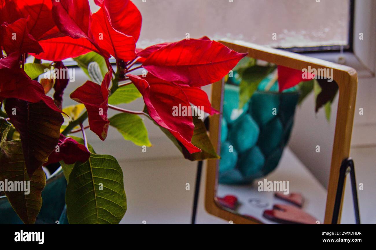 Still life with a mirror hi-res stock photography and images - Alamy
