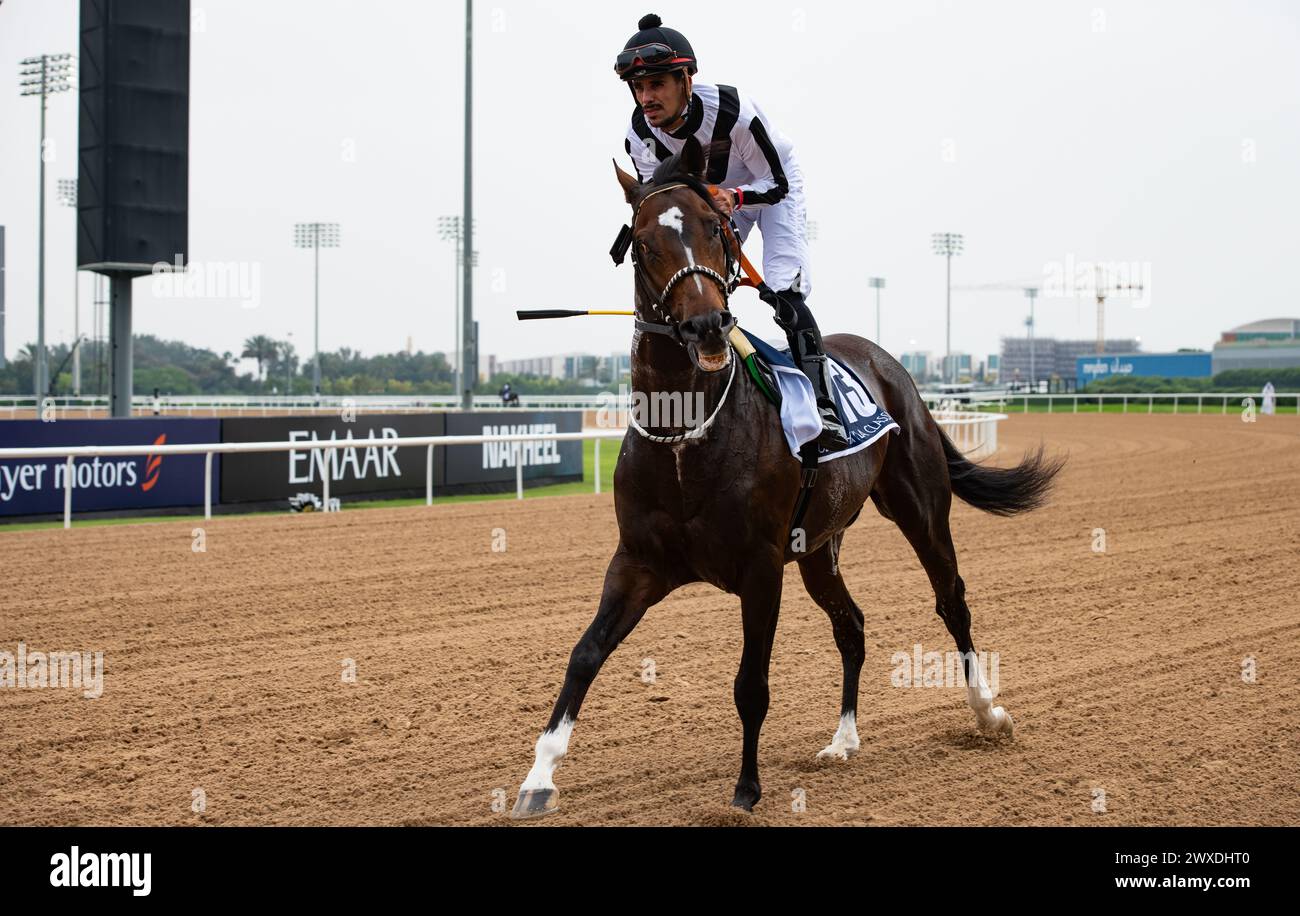 Dubai, United Arab Emirates, Saturday 30th March 2024; Tilal Al ...