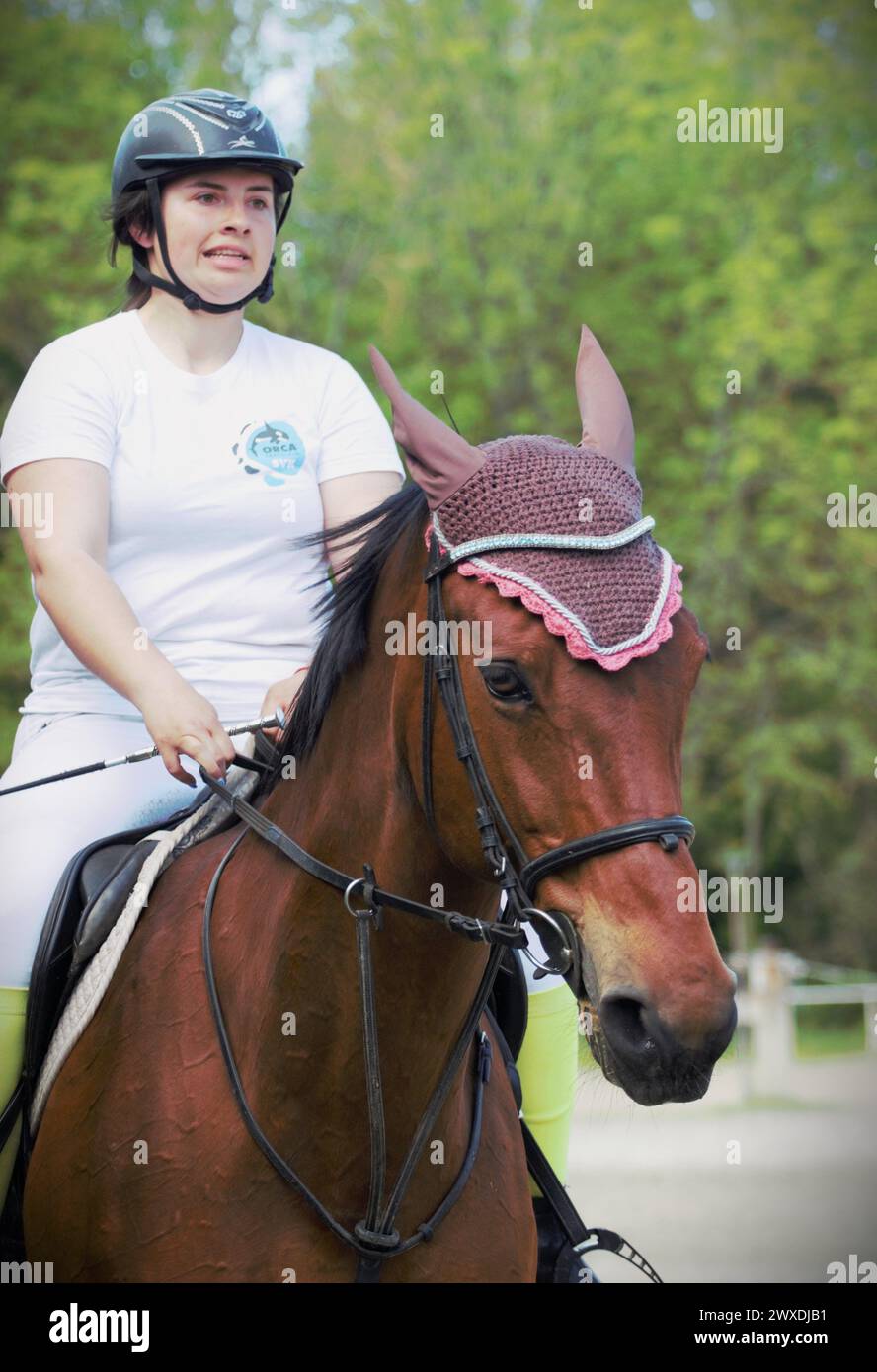 Young woman riding a horse in a horse riding club Stock Photo - Alamy