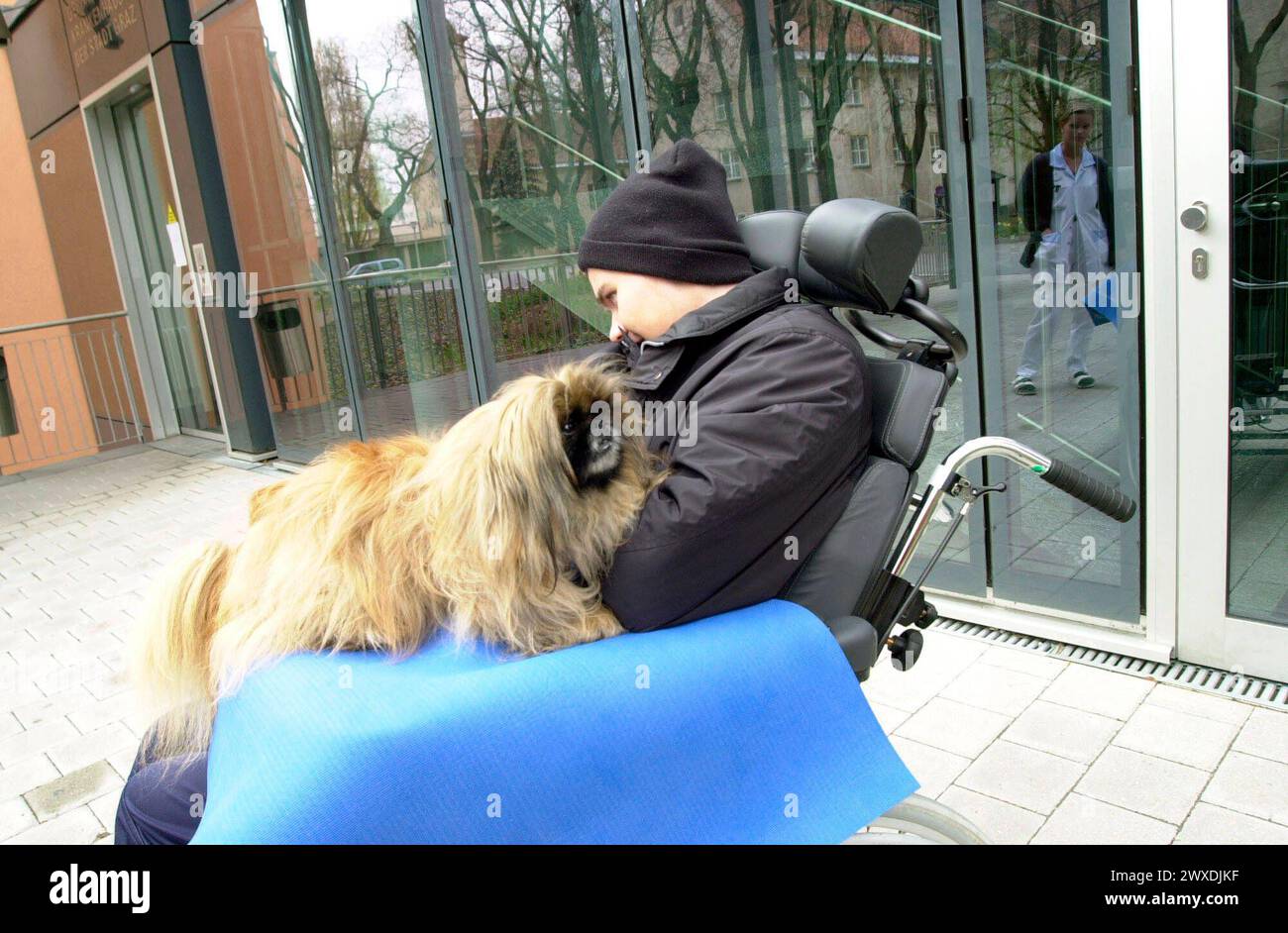 Disability in its various forms as a sign of permanent and serious ...