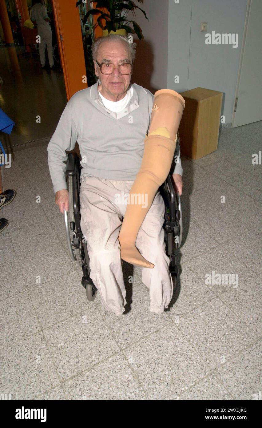 Disability in its various forms as a sign of permanent and serious ...