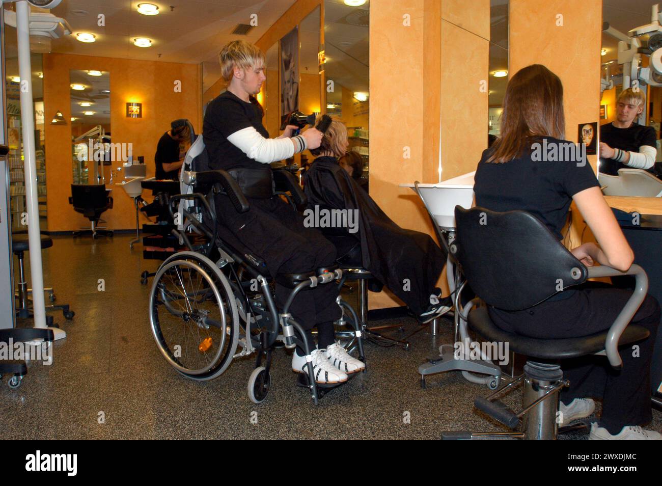 Disability in its various forms as a sign of permanent and serious ...