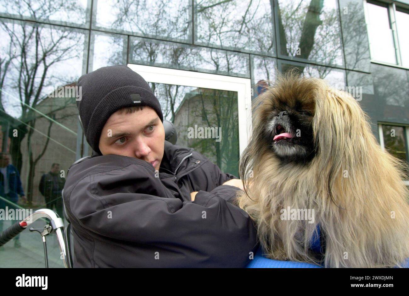 Disability in its various forms as a sign of permanent and serious ...