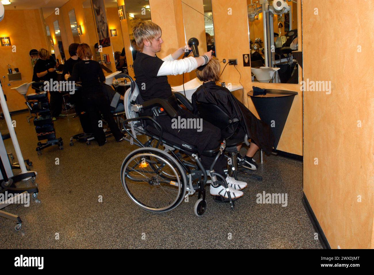 Disability in its various forms as a sign of permanent and serious ...