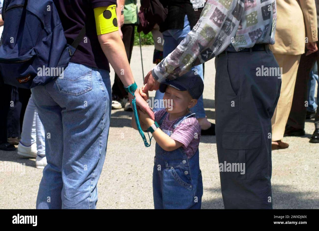 Disability in its various forms as a sign of permanent and serious ...