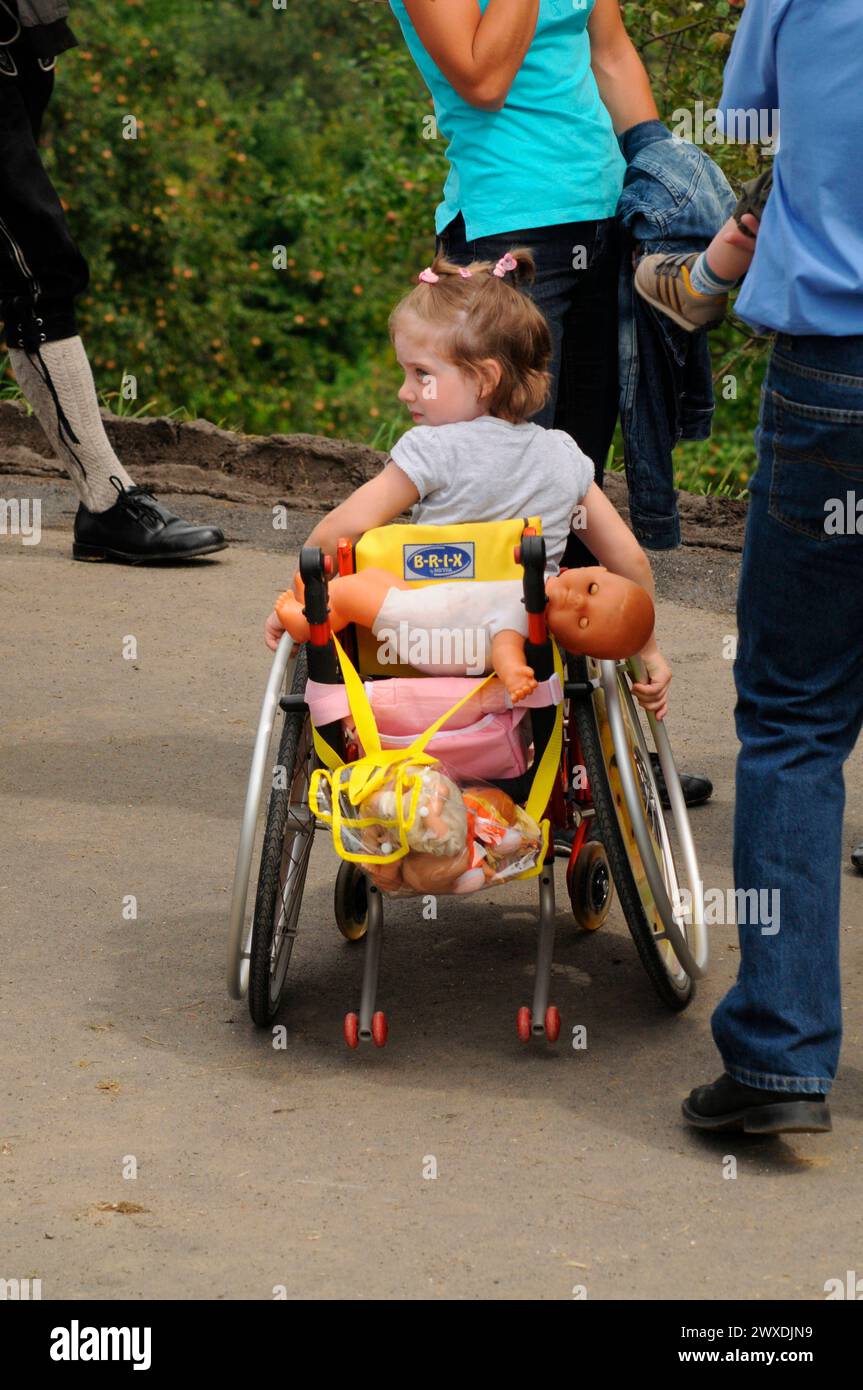 Disability in its various forms as a sign of permanent and serious ...