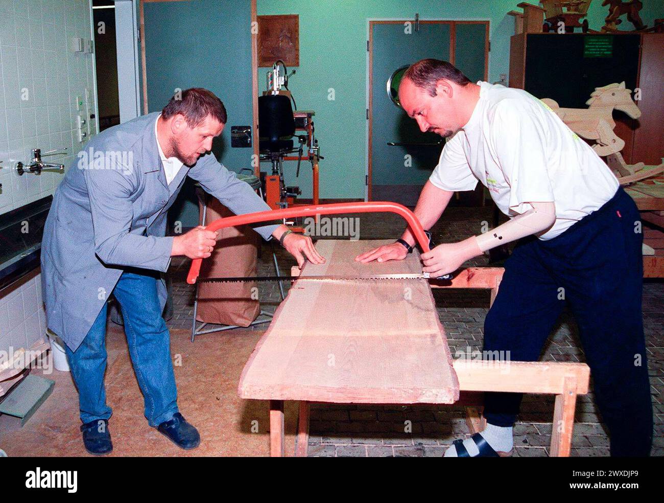 Disability in its various forms as a sign of permanent and serious ...