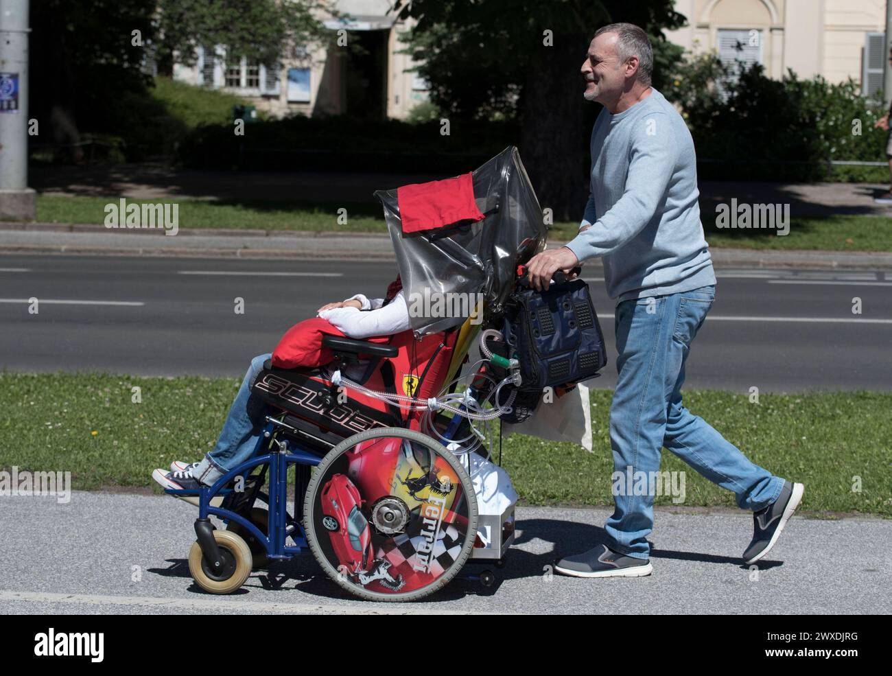 Disability in its various forms as a sign of permanent and serious ...