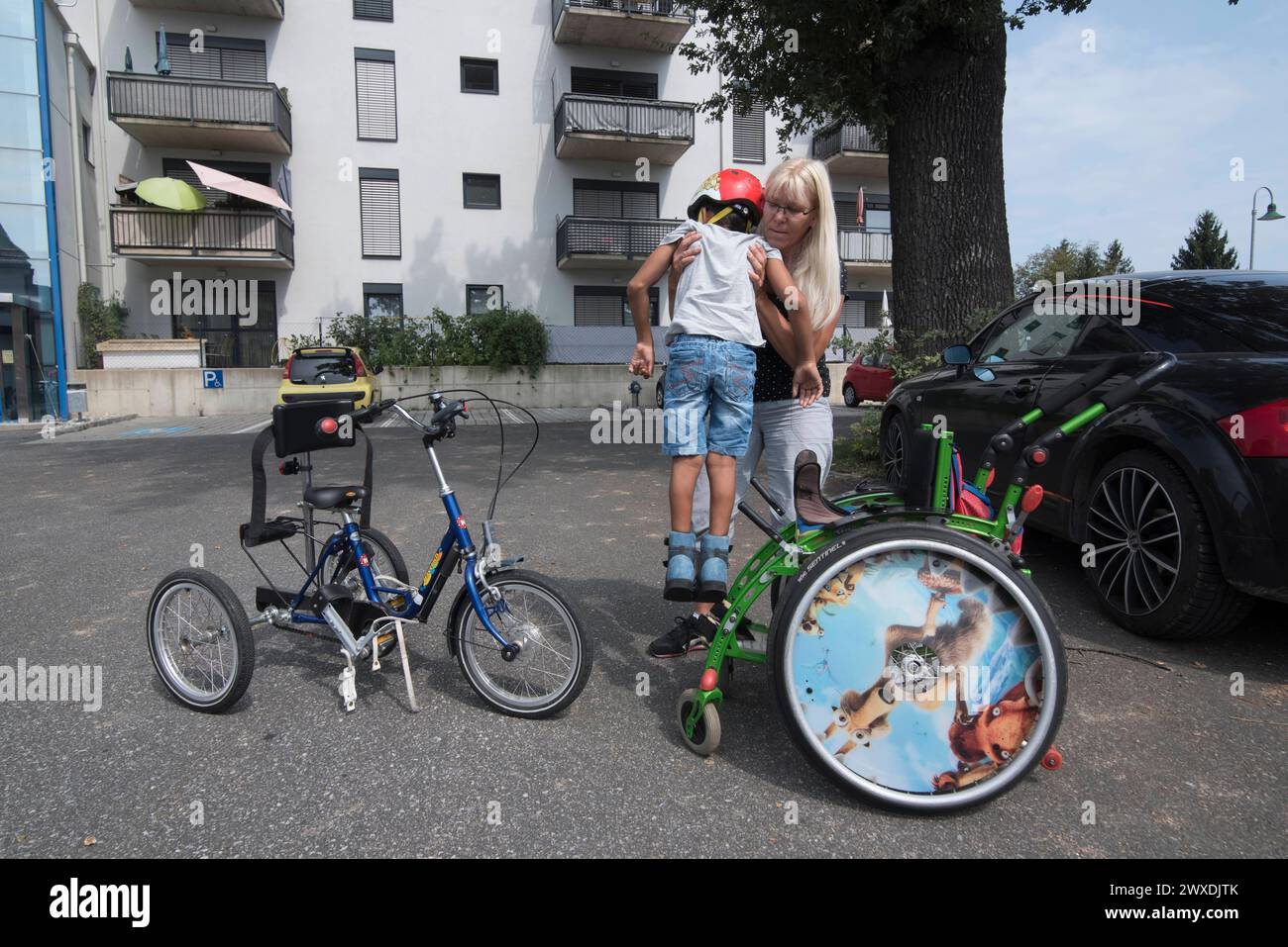 Disability in its various forms as a sign of permanent and serious ...