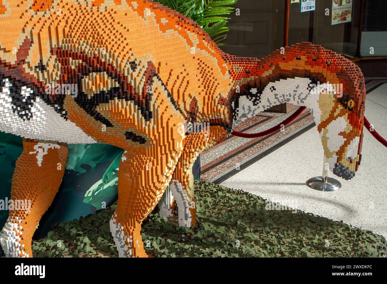 Dino themed activities hi-res stock photography and images - Alamy