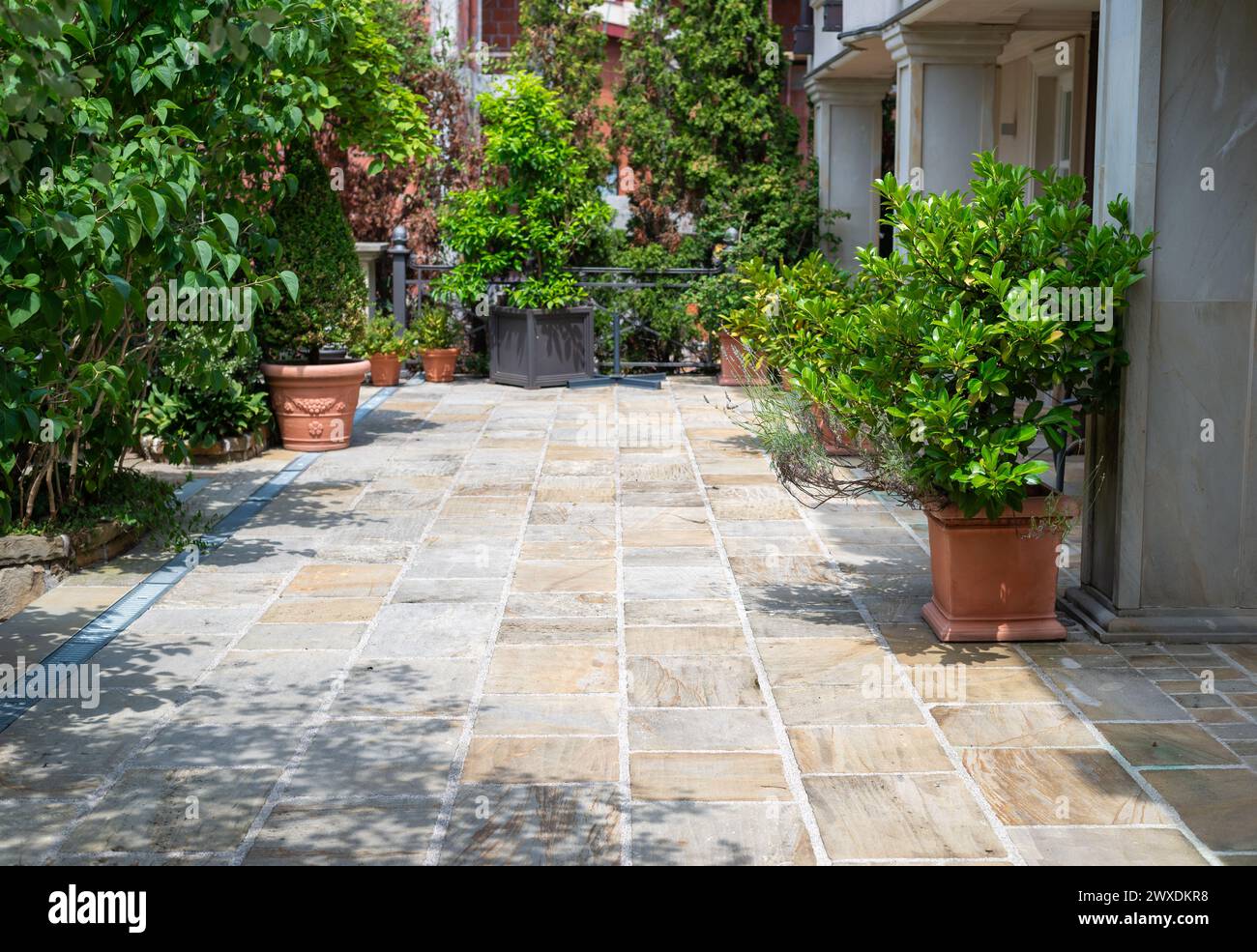 Lush well maintained and cared garden - detail Stock Photo - Alamy