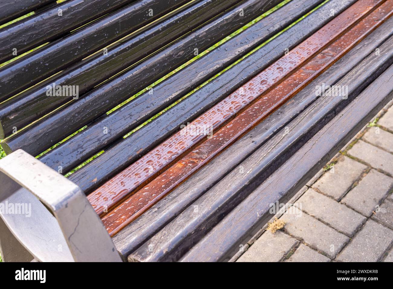 Empty park bench in rain hi-res stock photography and images - Alamy