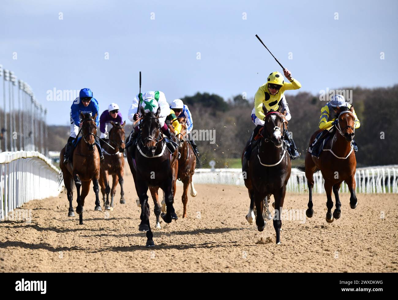 Racing tiger hi-res stock photography and images - Alamy