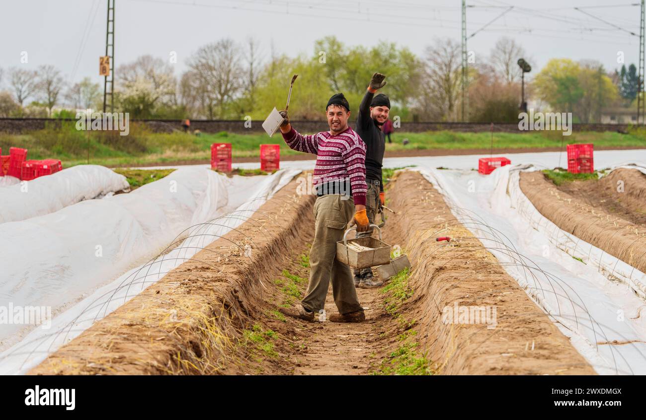 Weiterstadt, Germany. 30th Mar, 2024. Two Bulgarian harvest workers ...