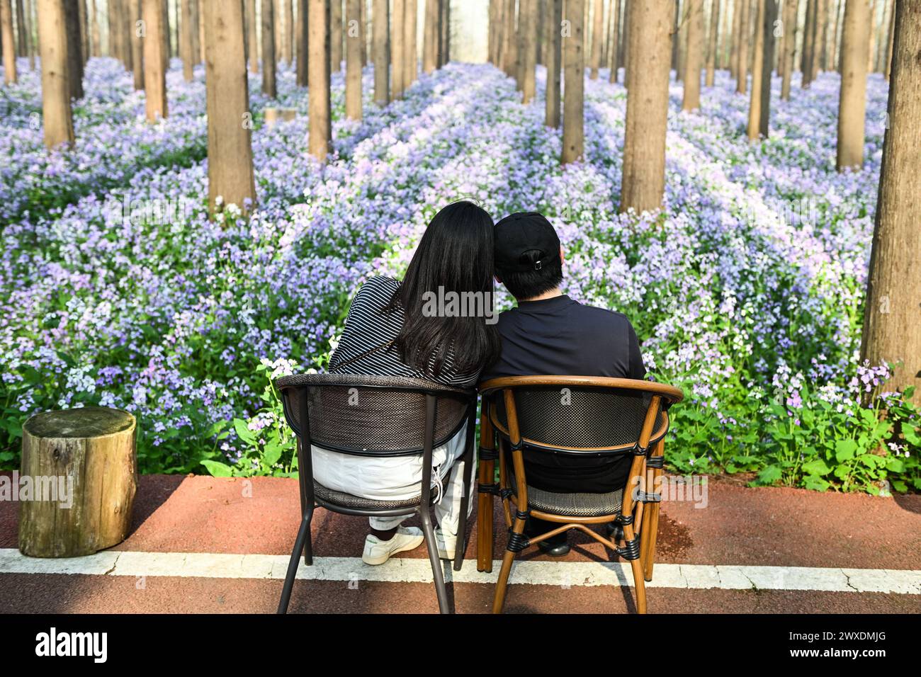 Jinhu, China's Jiangsu Province. 30th Mar, 2024. Tourists relax at Jinhu water forest scenic ...