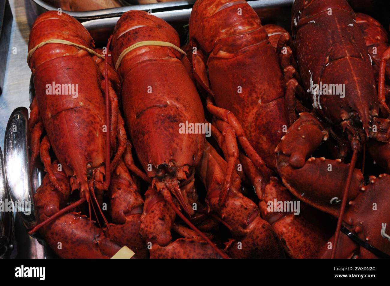 Copenhagen, Denmark /30 March 2024/ lobster and oysters and other sea ...