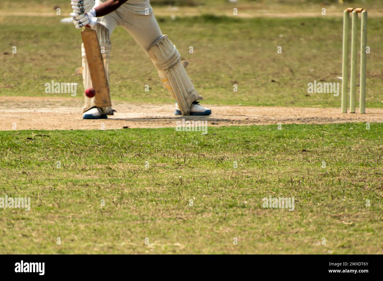 Cricket batsman is playing forward defensive stroke Stock Photo - Alamy