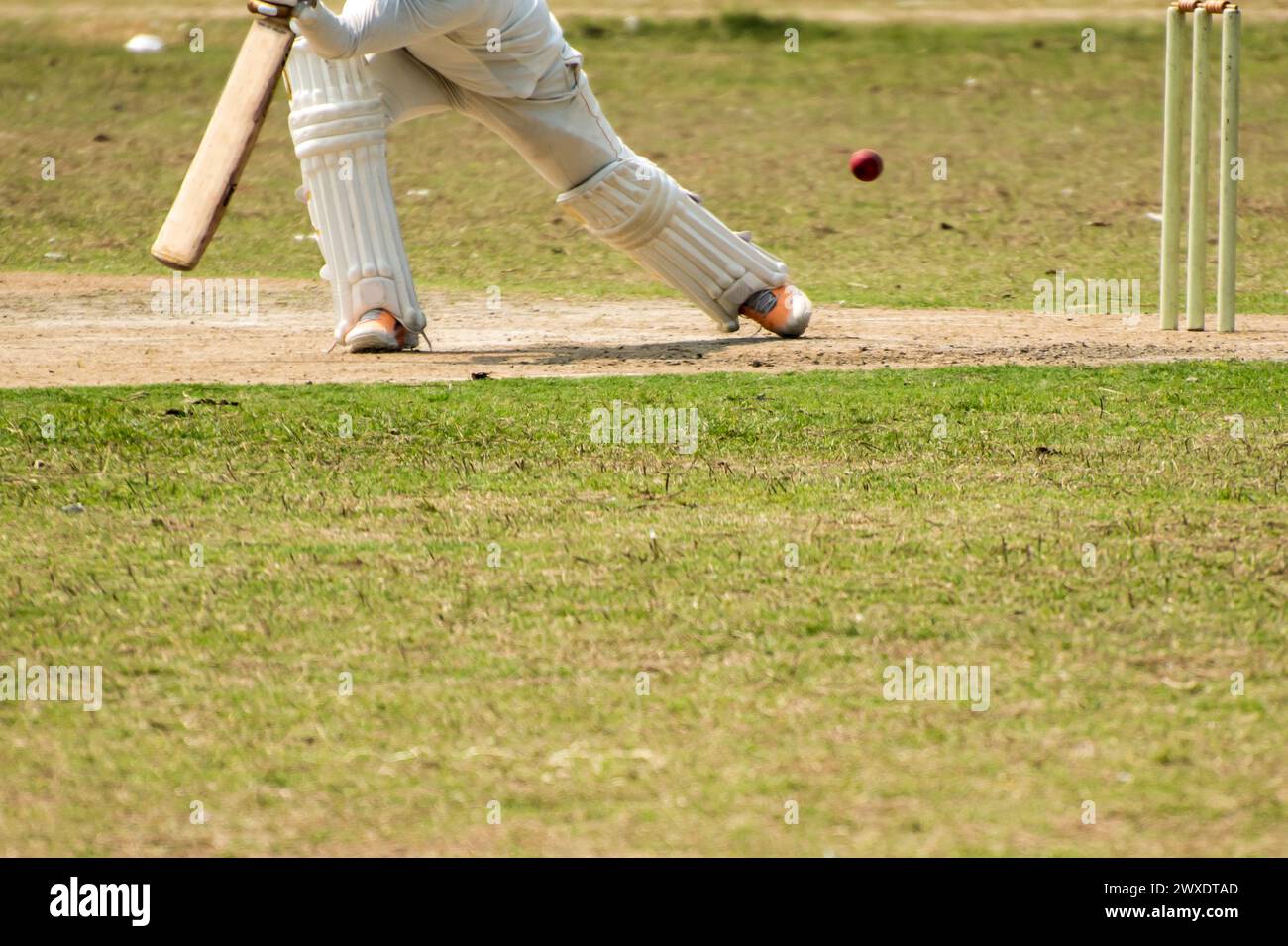 Cricket Batsman is going to hit a ball Stock Photo - Alamy
