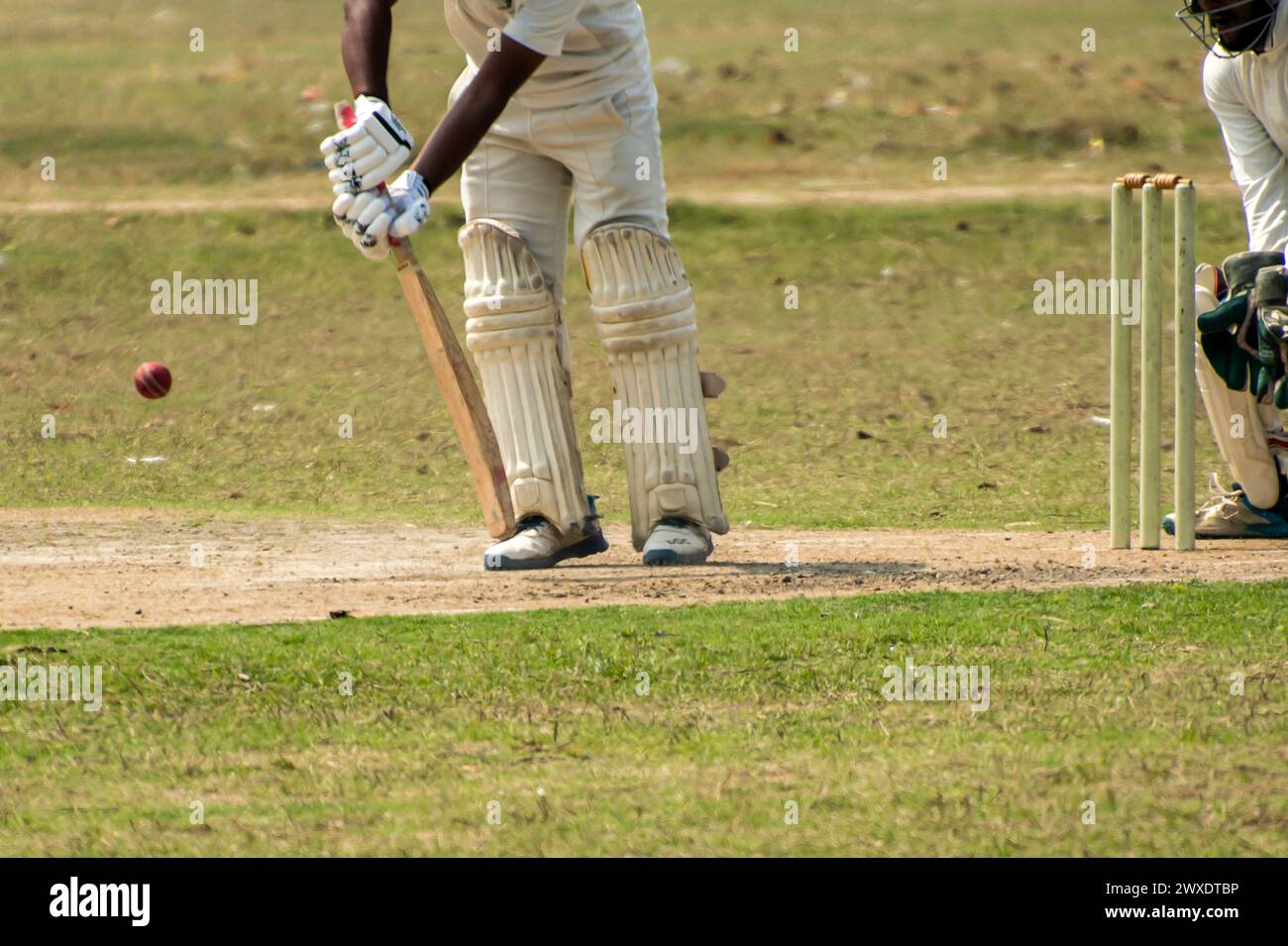 Cricket batsman is playing forward defensive stroke Stock Photo - Alamy