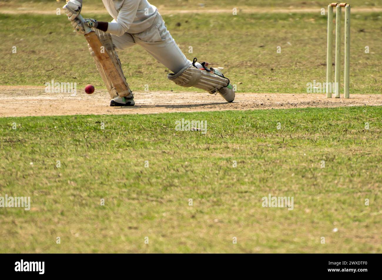 Cricket batsman is playing forward defensive stroke Stock Photo - Alamy